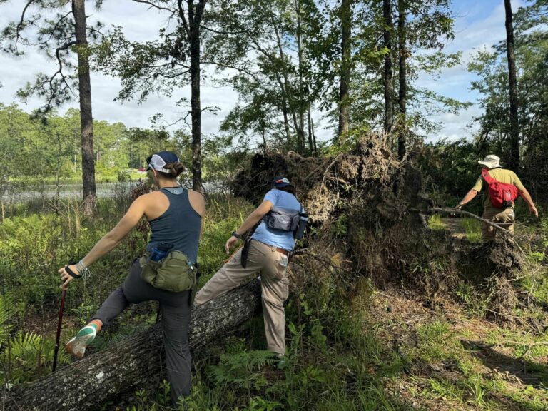 News | Santa Rosa County FL Citizen Corps | Serving our community